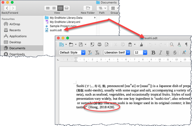Endnote Is Not In Word Toolbar Operfpuzzle
